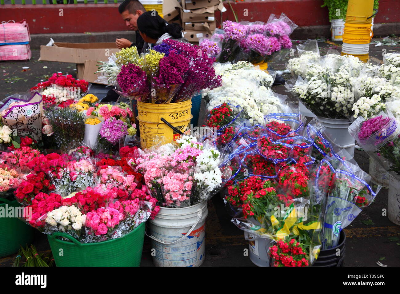 Plaza de Mercado de Paloquemao, flower market in the north of Bogota ...
