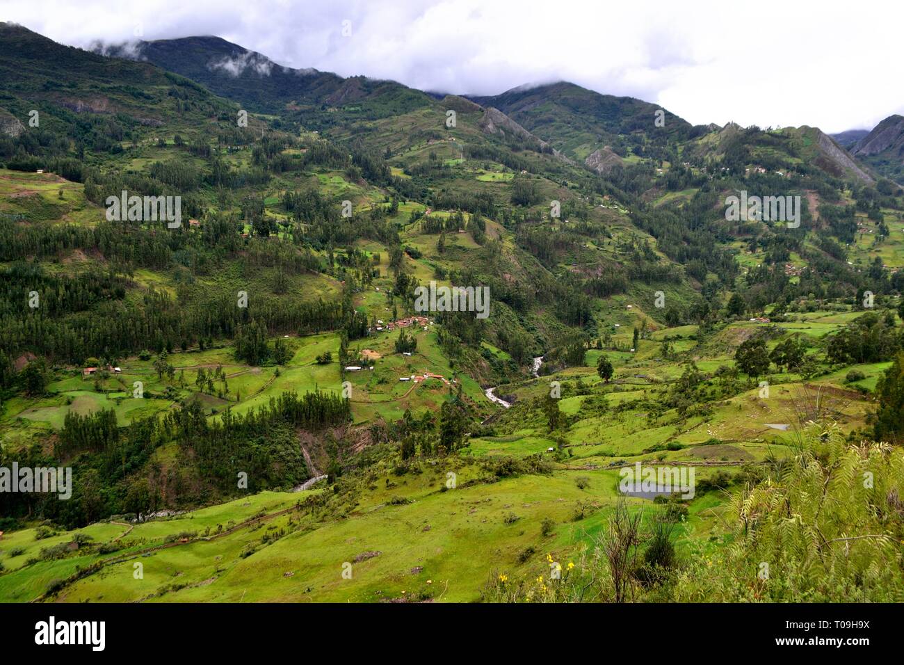 Way to the Sanctuary of POMALLUCAY - San luis - CHACAS - . Department ...