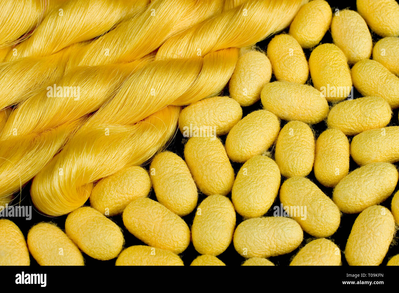 Thai Silk and Cocoon Stock Photo - Alamy