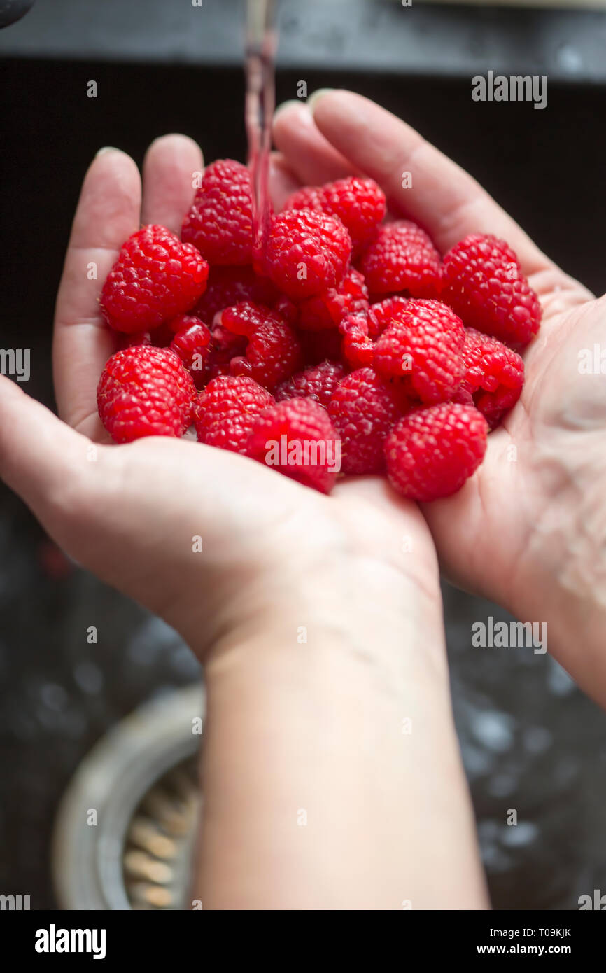 Hands washing raspberries under the water Stock Photo - Alamy