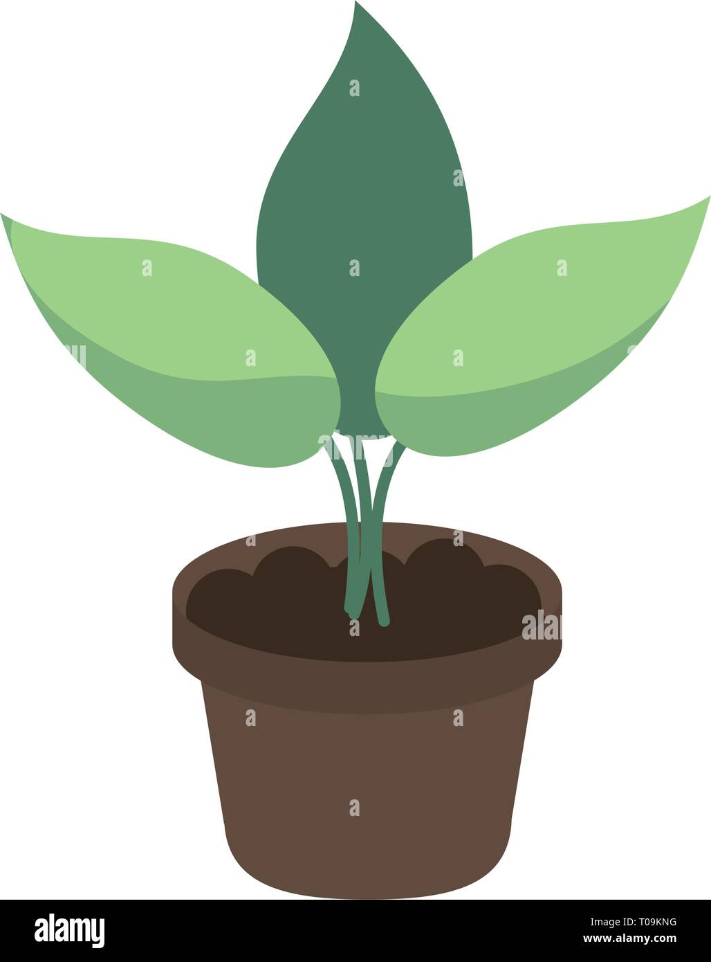 Plant in pot cartoon isolated Stock Vector Image & Art - Alamy