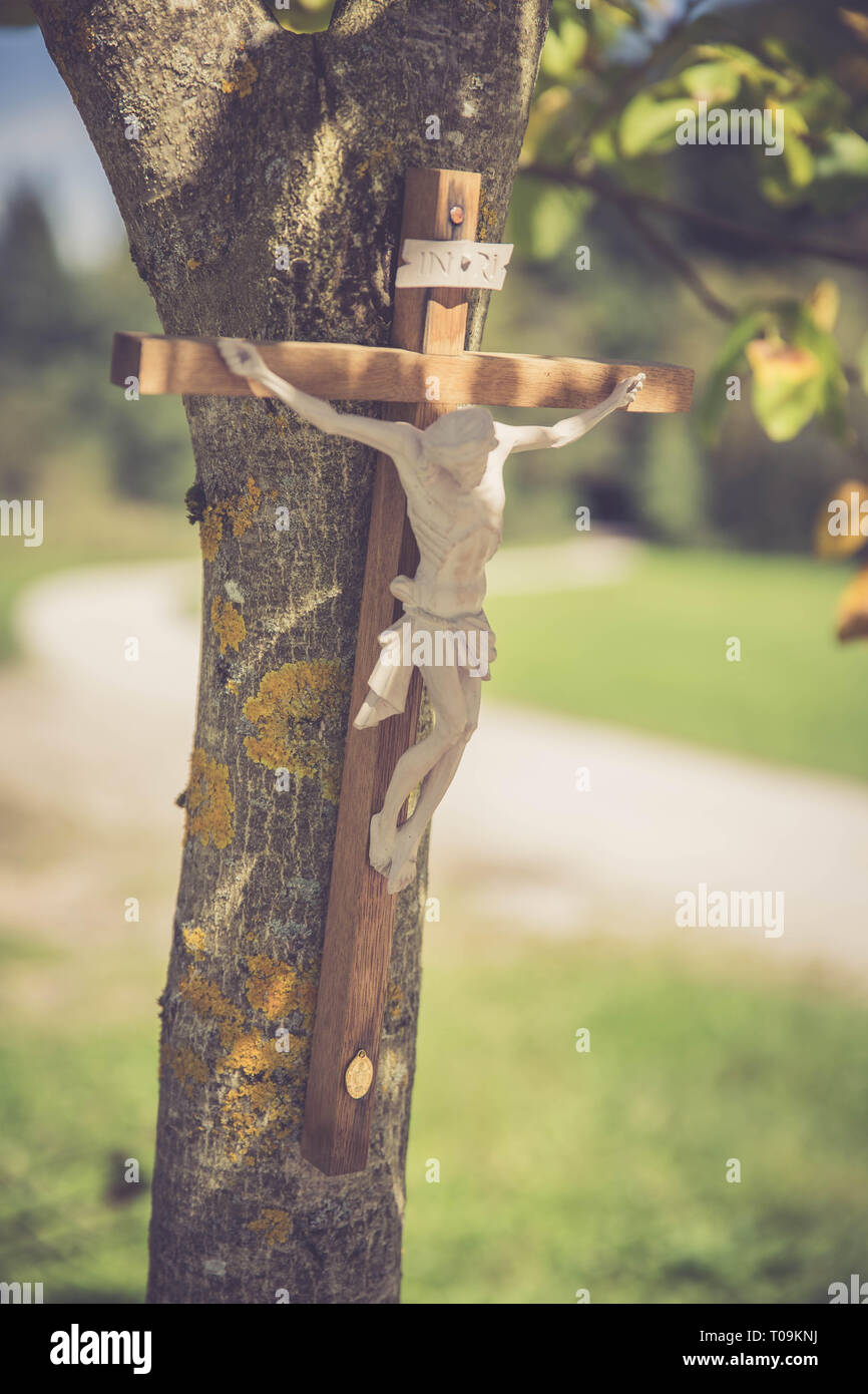 Crucifix on a tree, outdoors, jesus christ Stock Photo - Alamy