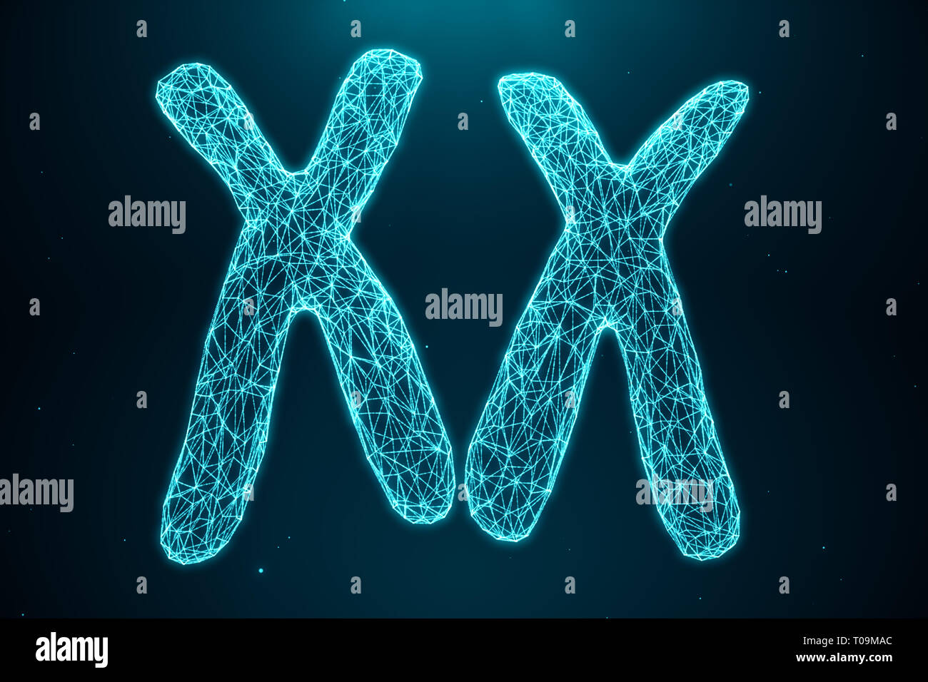 3D Illustration Polygonal Low poly Digital Artificial XX-Chromosomes ...