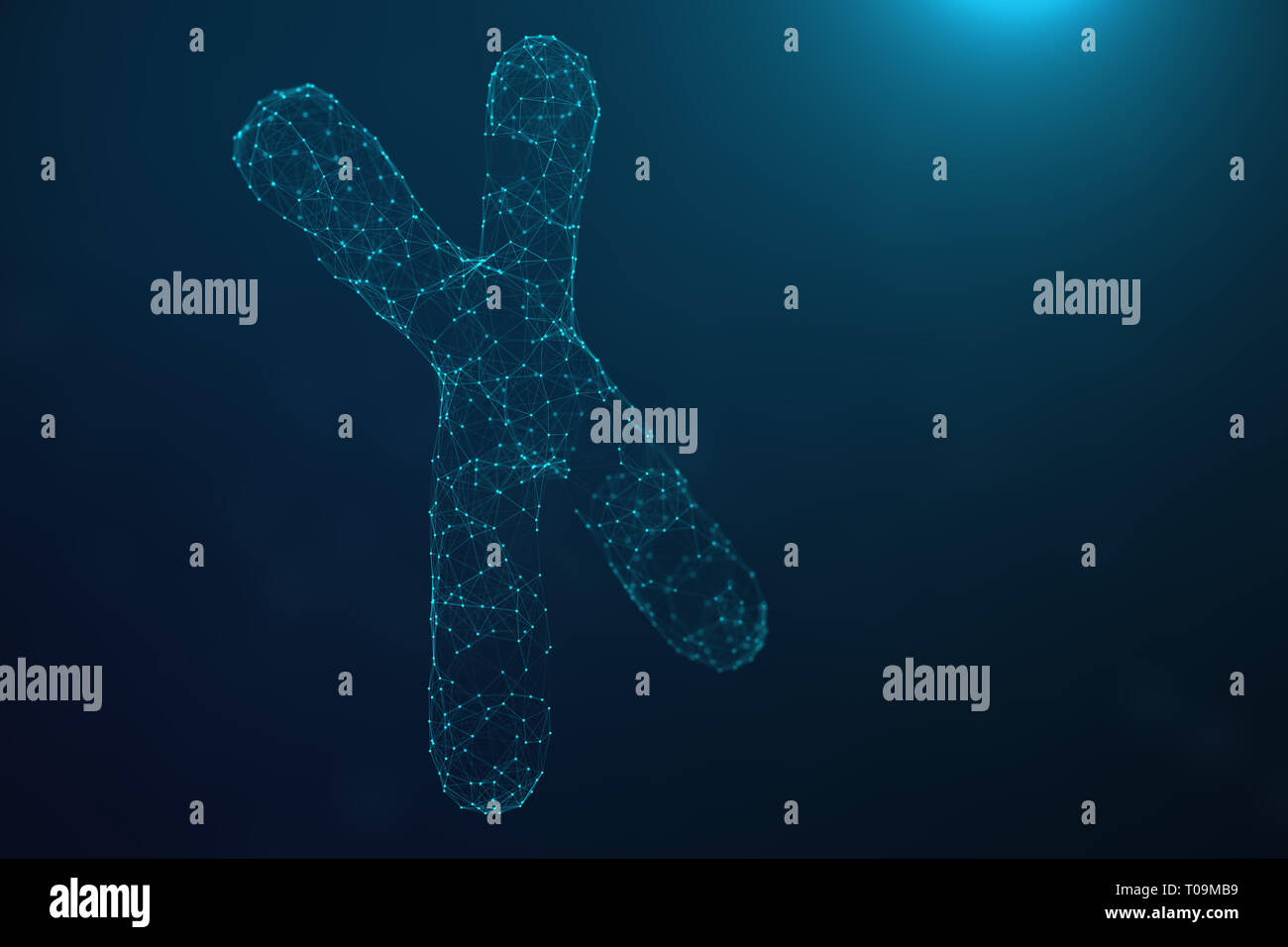 3D Illustration Polygonal Low poly Digital Artificial X-Chromosomes ...