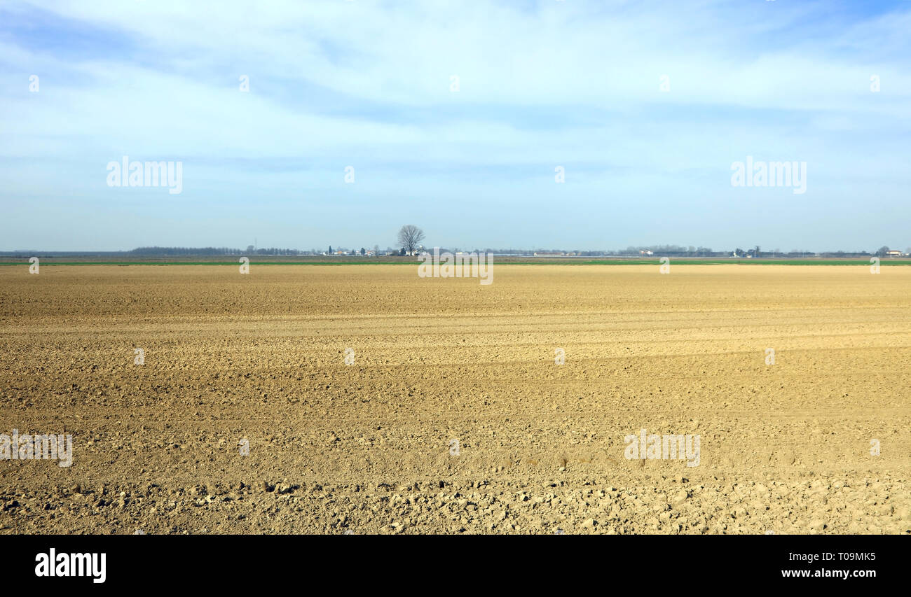 Dry field without plants of the plain during the great summer drought ...