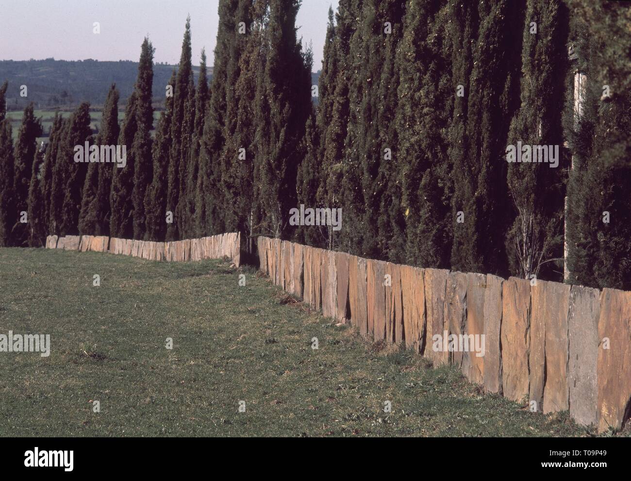 PRADO. Location: EXTERIOR. SOBRADO. Coruña. SPAIN Stock Photo - Alamy