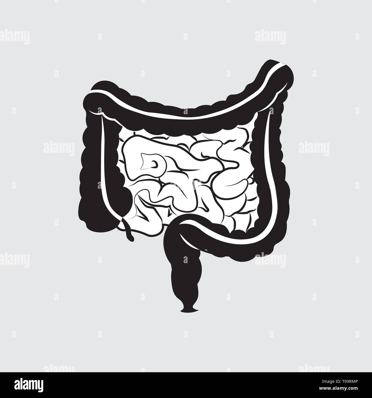 Human digestive system intestines gut anatomy gastrointestinal tract ...