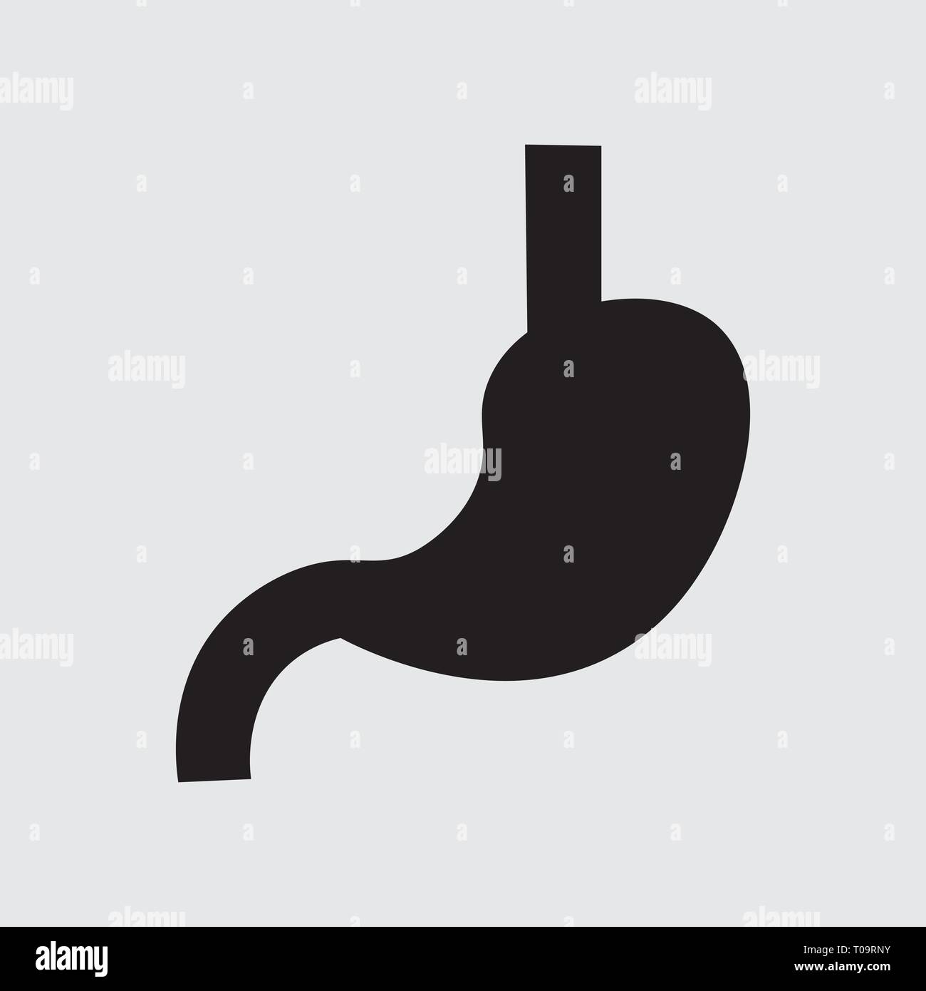 Stomach icon. Human internal organs symbol. Digestive system anatomy ...