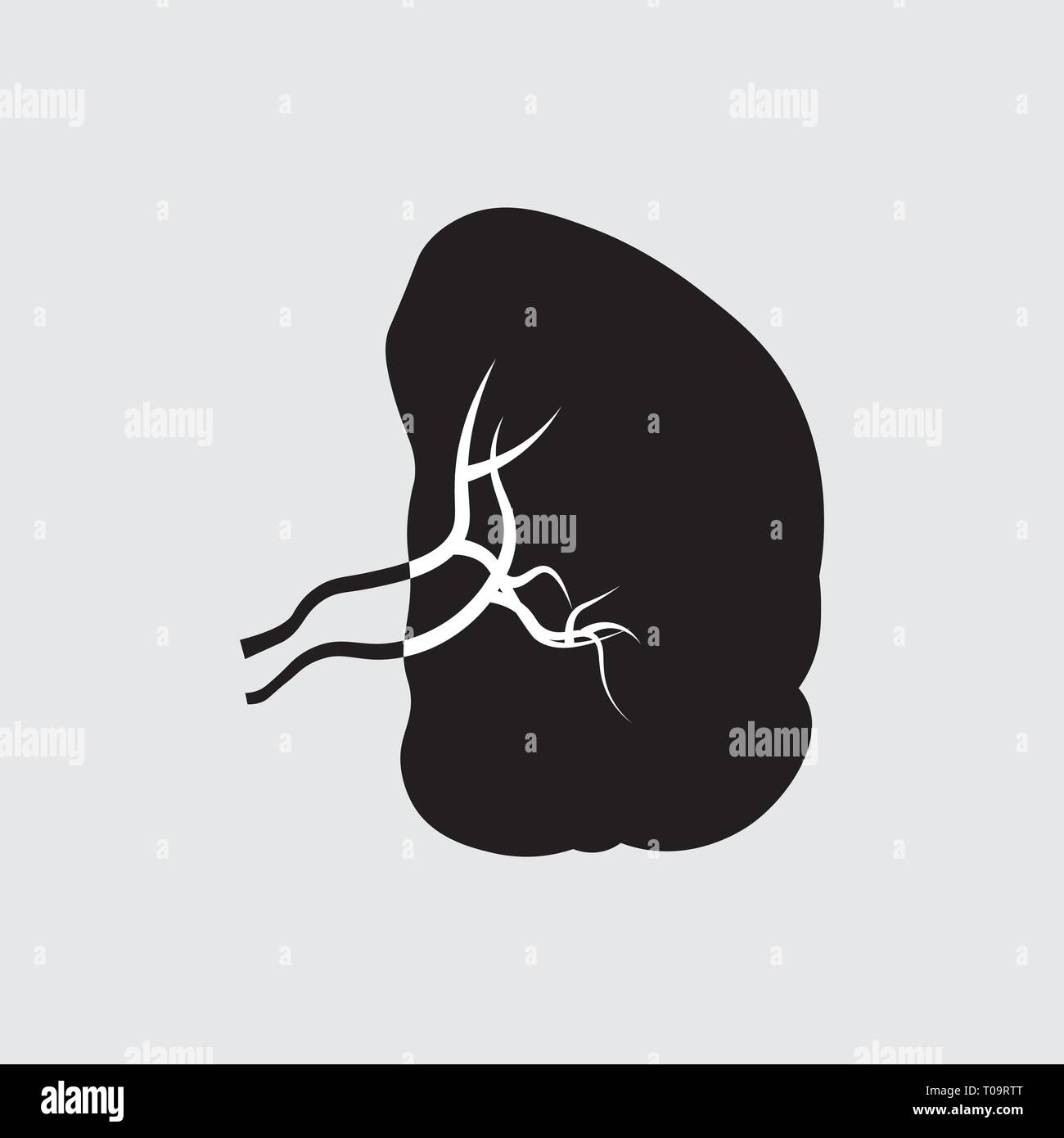 Spleen icon. Human Internal Organs. medical Vector Illustration 10 eps ...