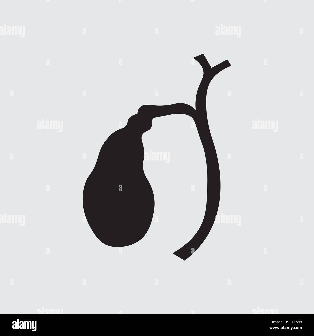 Illustration of Human gallbladder anatomy. Dyskinesia of the biliary ...