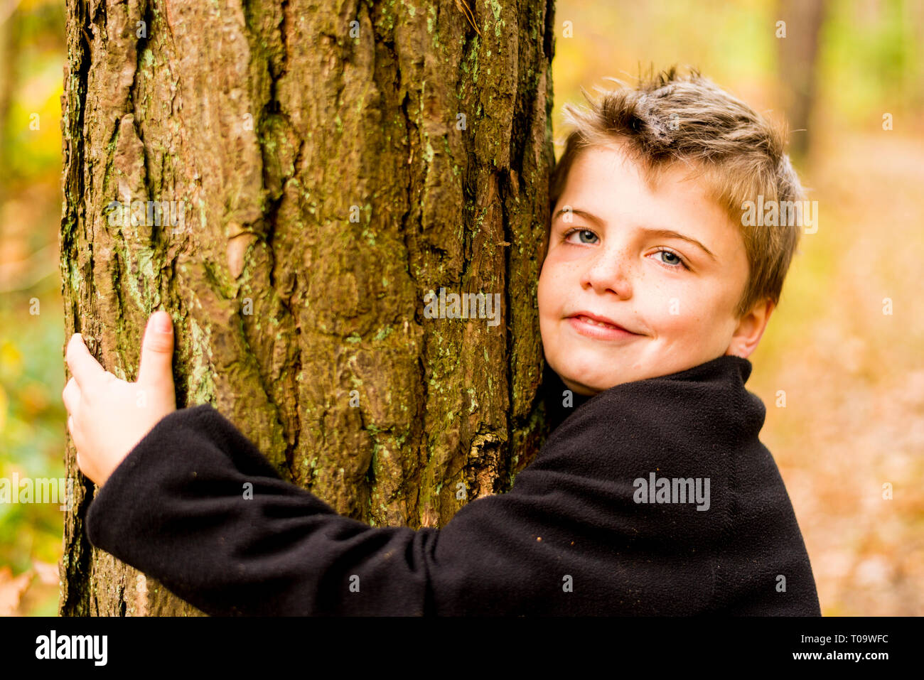 kid in a forest hugging a tree Stock Photo - Alamy