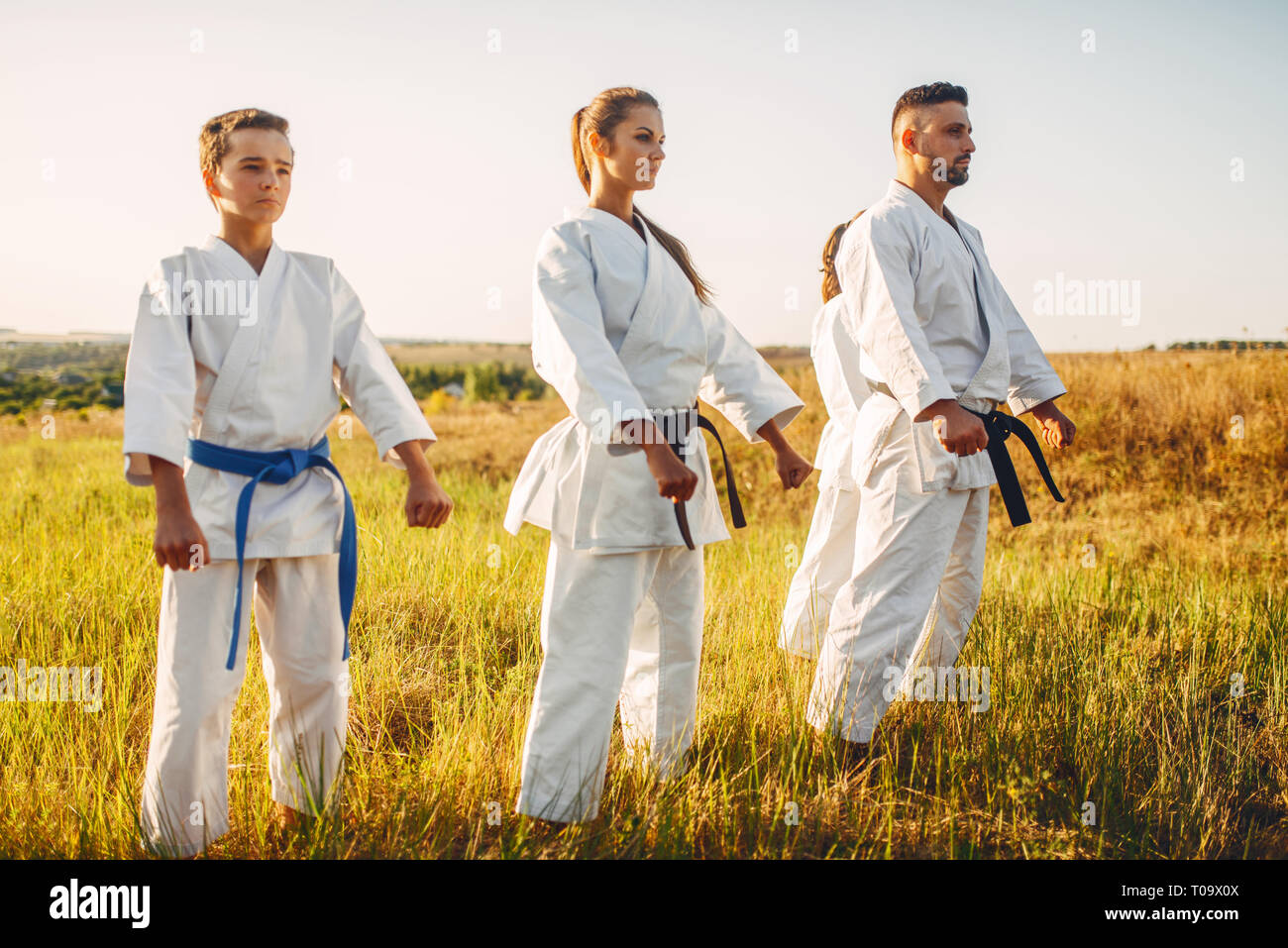 Karate group on training in summer field. Martial art workout outdoor ...
