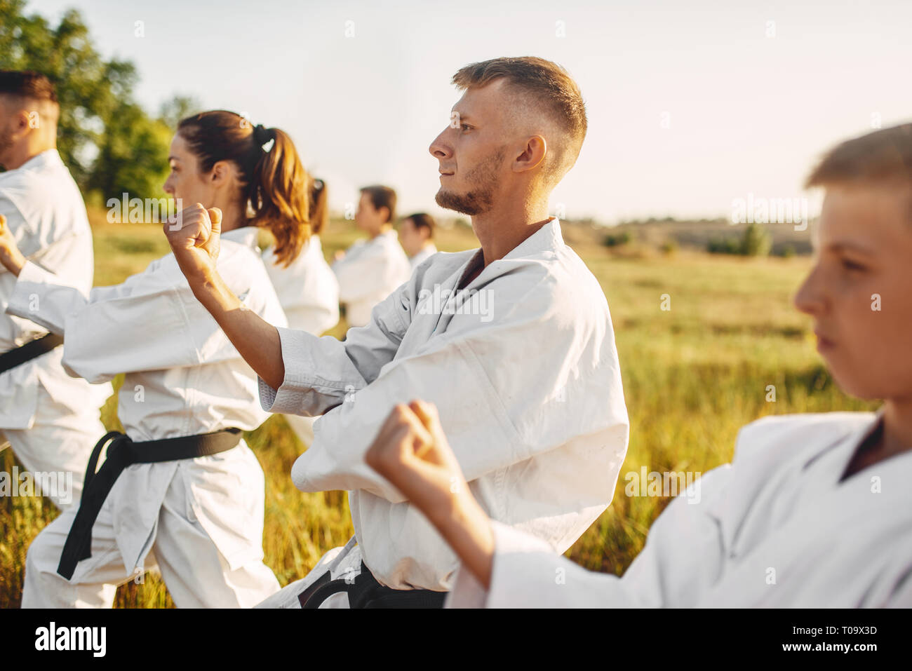 Karate group on training in summer field. Martial art workout outdoor ...