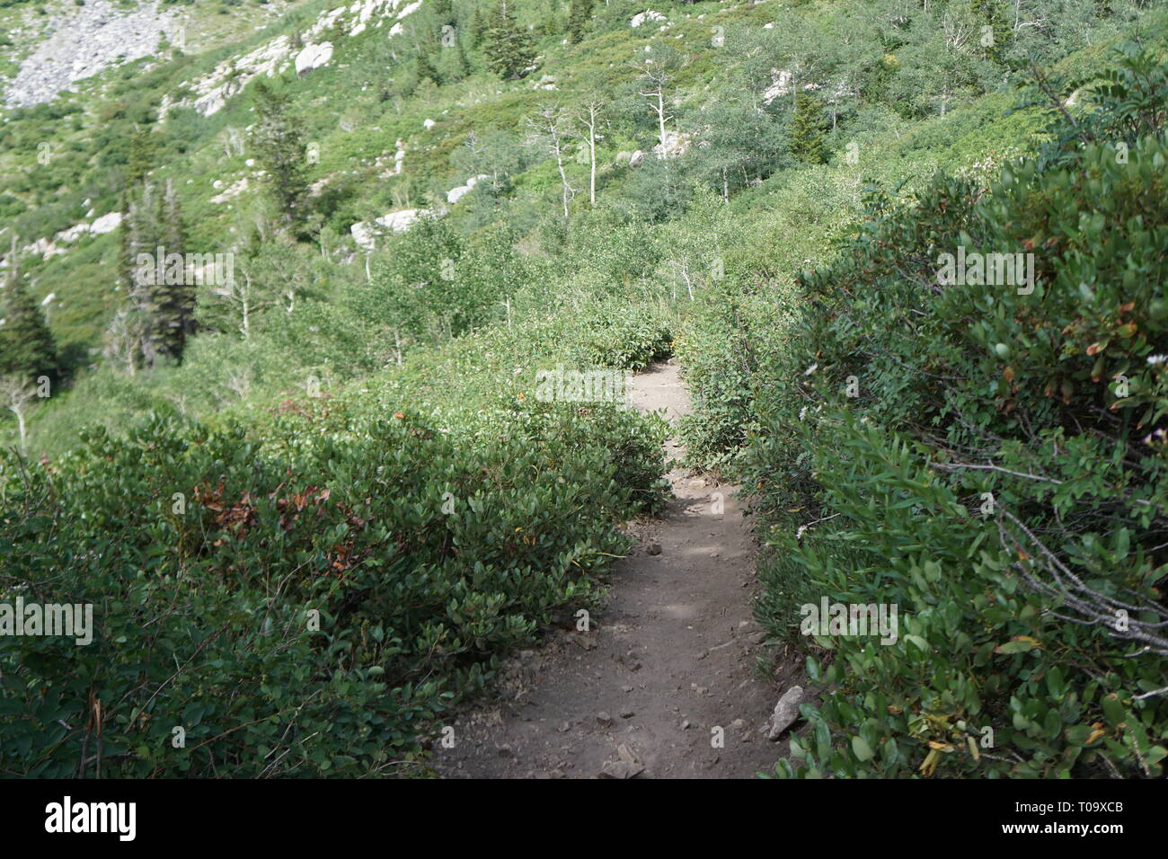 Silver Trail High Resolution Stock Photography and Images - Alamy