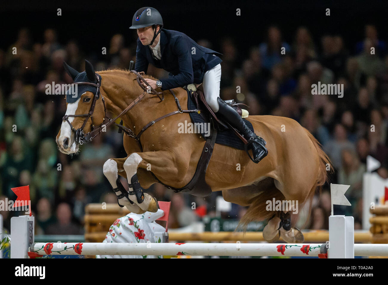 Den Bosch, Netherlands. 17th Mar, 2019. DEN BOSCH, 17-03-2019 ...