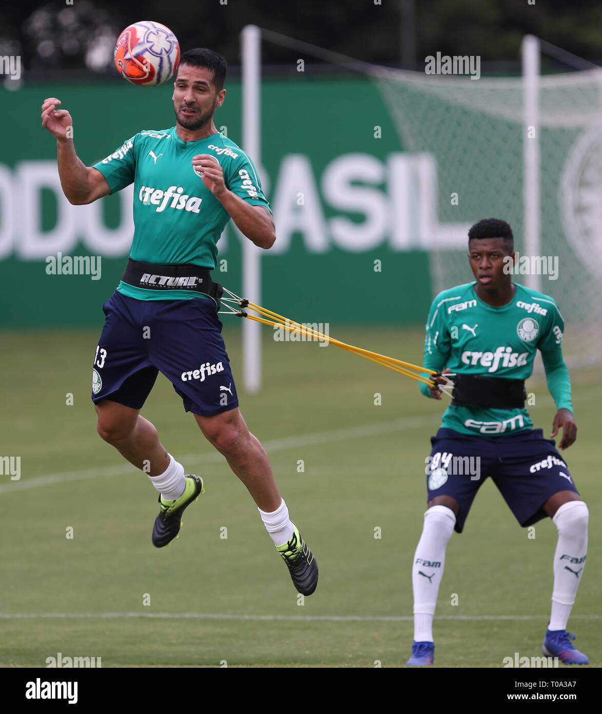 Sao Paulo, Brazil. 18th Mar 2019. The player Luan, from SE Palmeiras ...