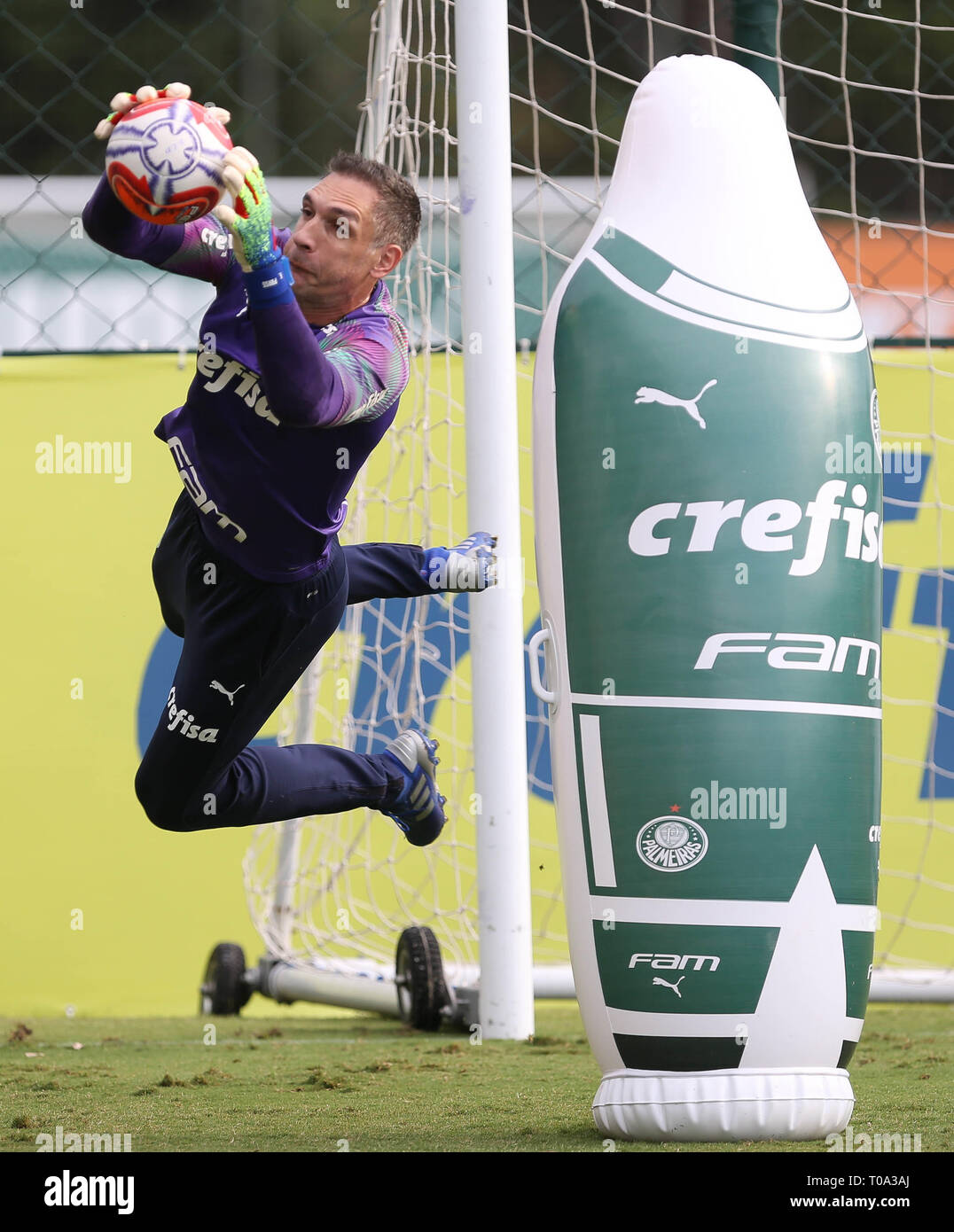 Sao Paulo, Brazil. 18th Mar 2019. Goalkeeper Fernando Prass, from SE ...