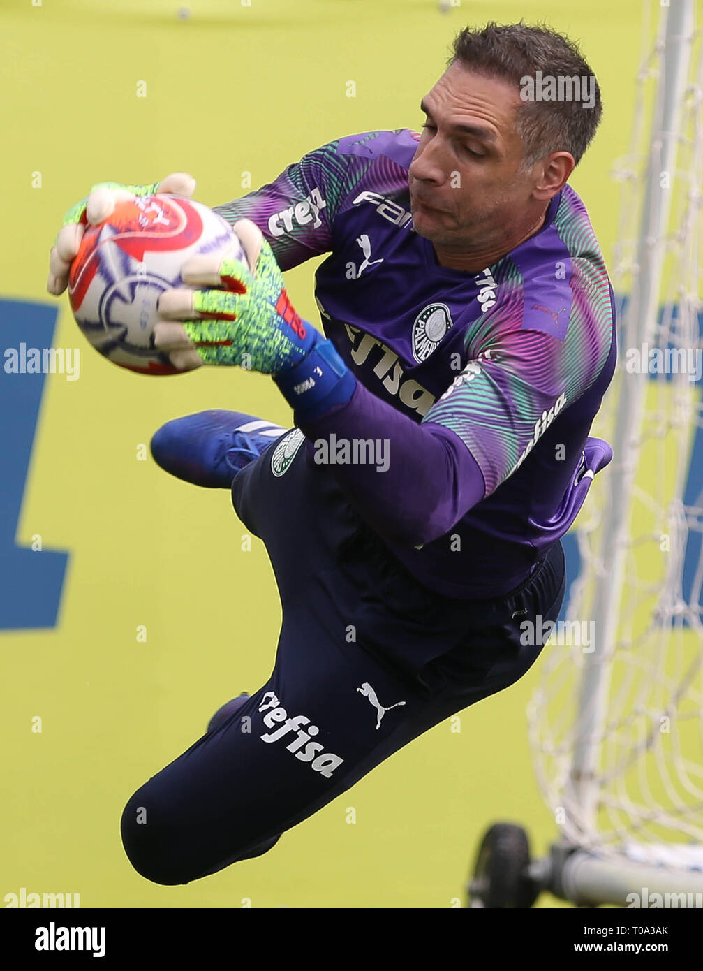 Sao Paulo, Brazil. 18th Mar 2019. Goalkeeper Fernando Prass, from SE ...