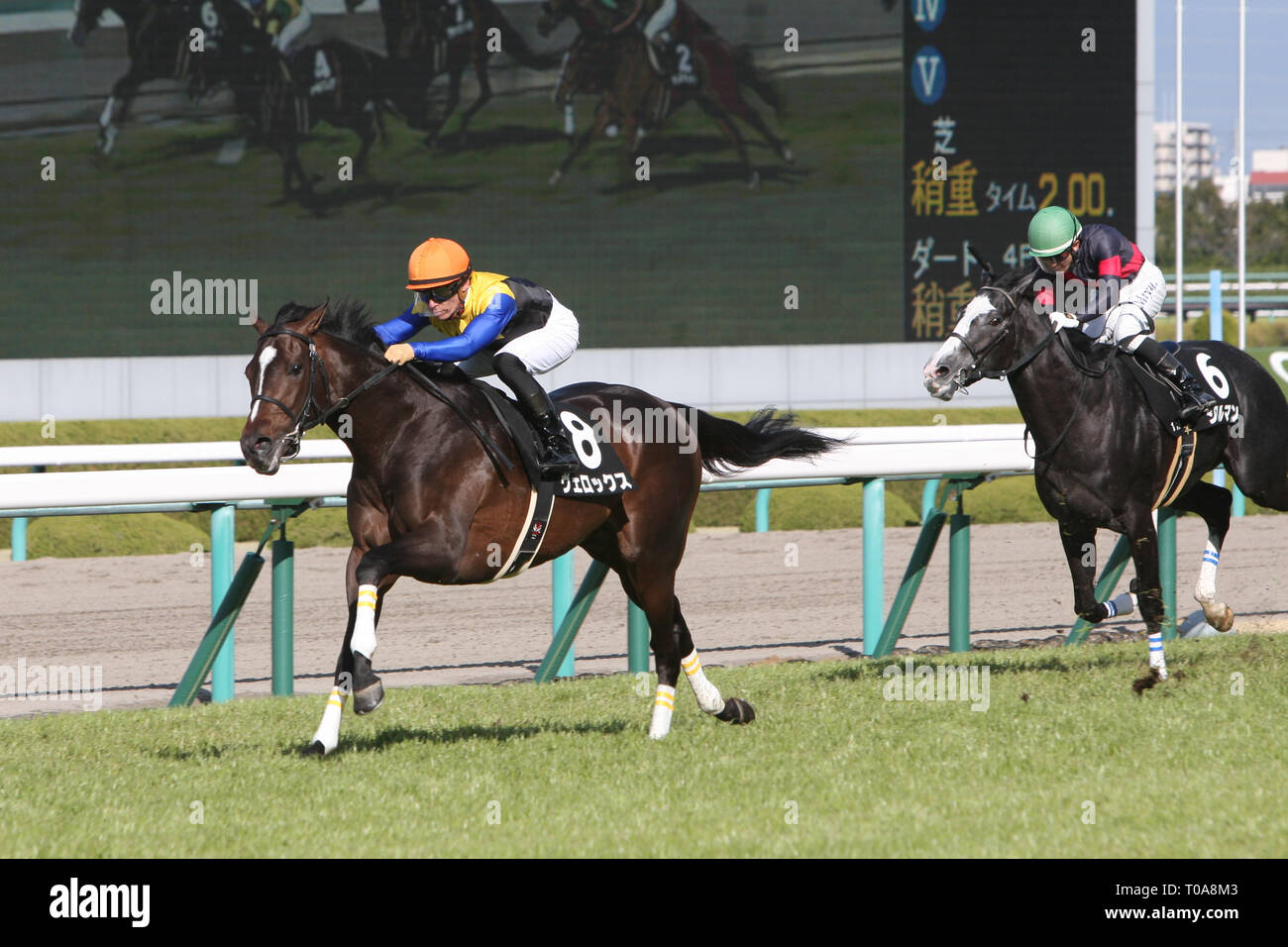 Hyogo, Japan. 16th Mar, 2019. (L-R) Velox (Yuga Kawada), Sifflement ...