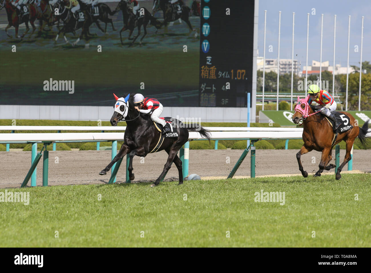 Hyogo, Japan. 17th Mar, 2019. (L-R) Win Struggle (Fuma Matsuwaka ...