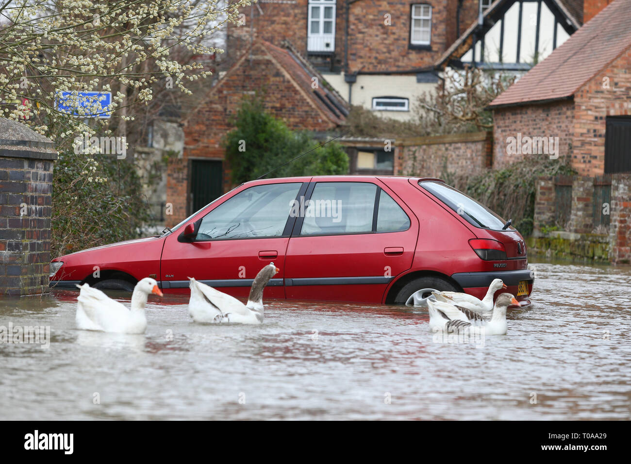 Car stuck flood hi-res stock photography and images - Alamy