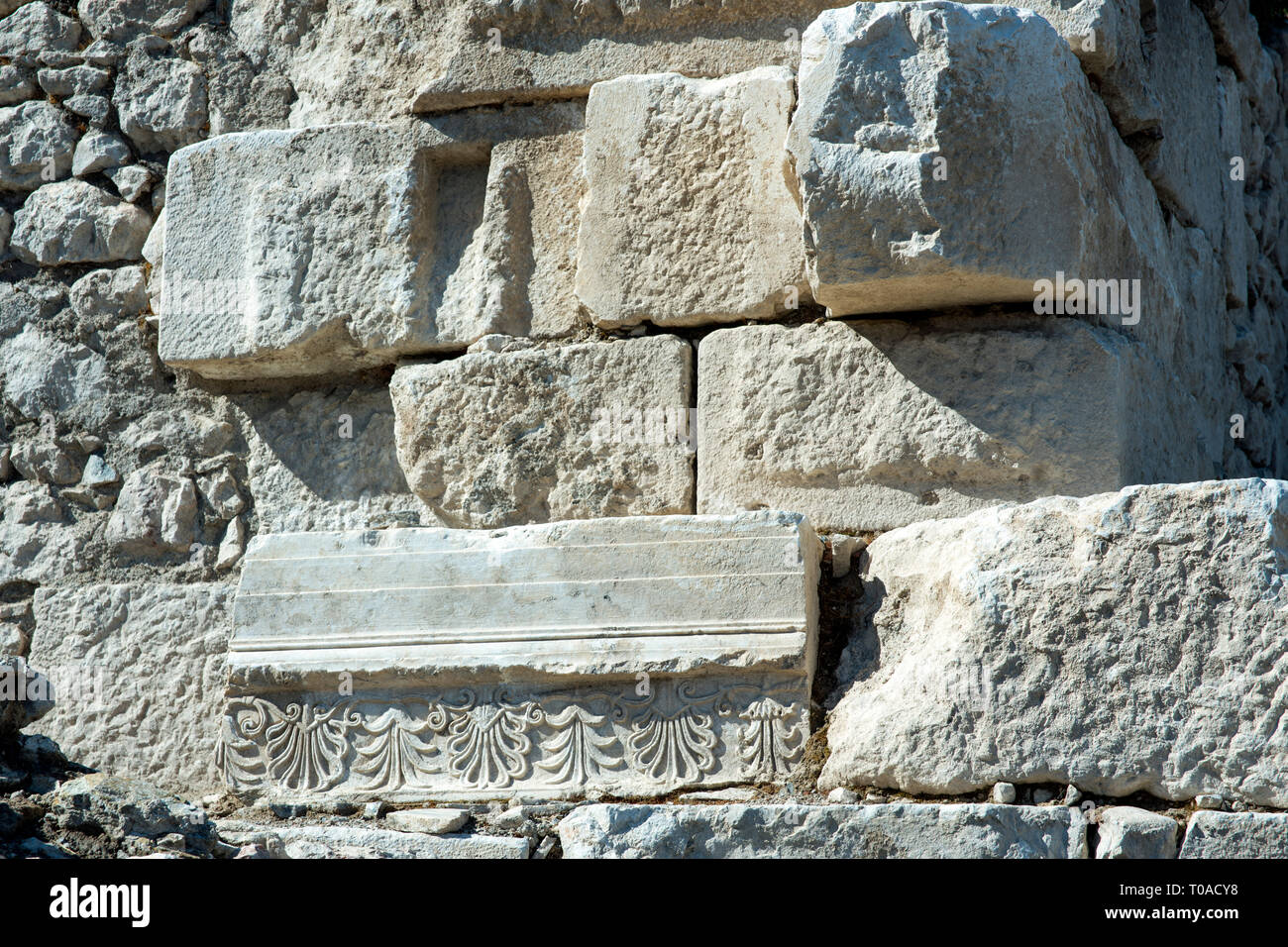 Spolie hi-res stock photography and images - Alamy