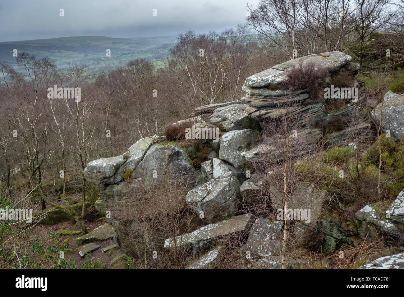 Brimham rocks brimham moor in hi-res stock photography and images - Alamy