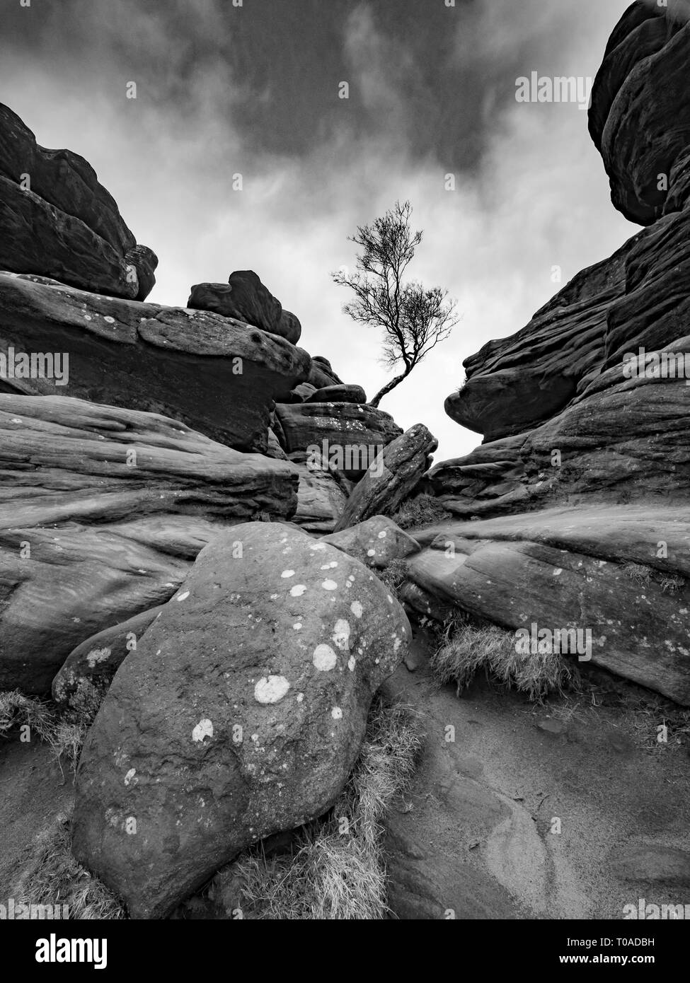 Brimham Rocks are balancing rock formations on Brimham Moor in North ...