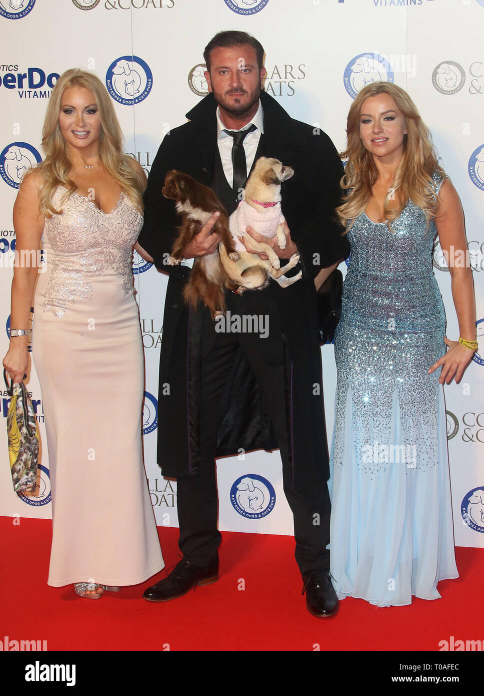 Jason coats hi-res stock photography and images - Alamy