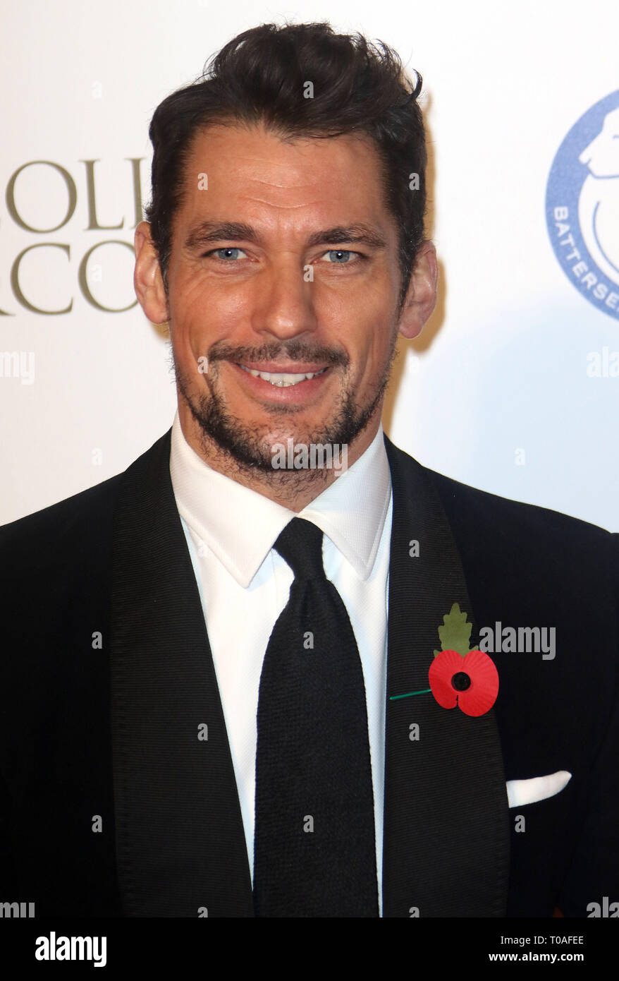 David gandy collars coats hi-res stock photography and images - Alamy