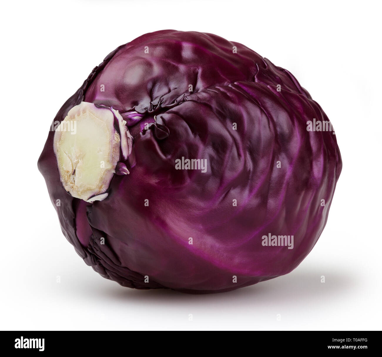Red cabbage isolated on white background with clipping path Stock Photo ...