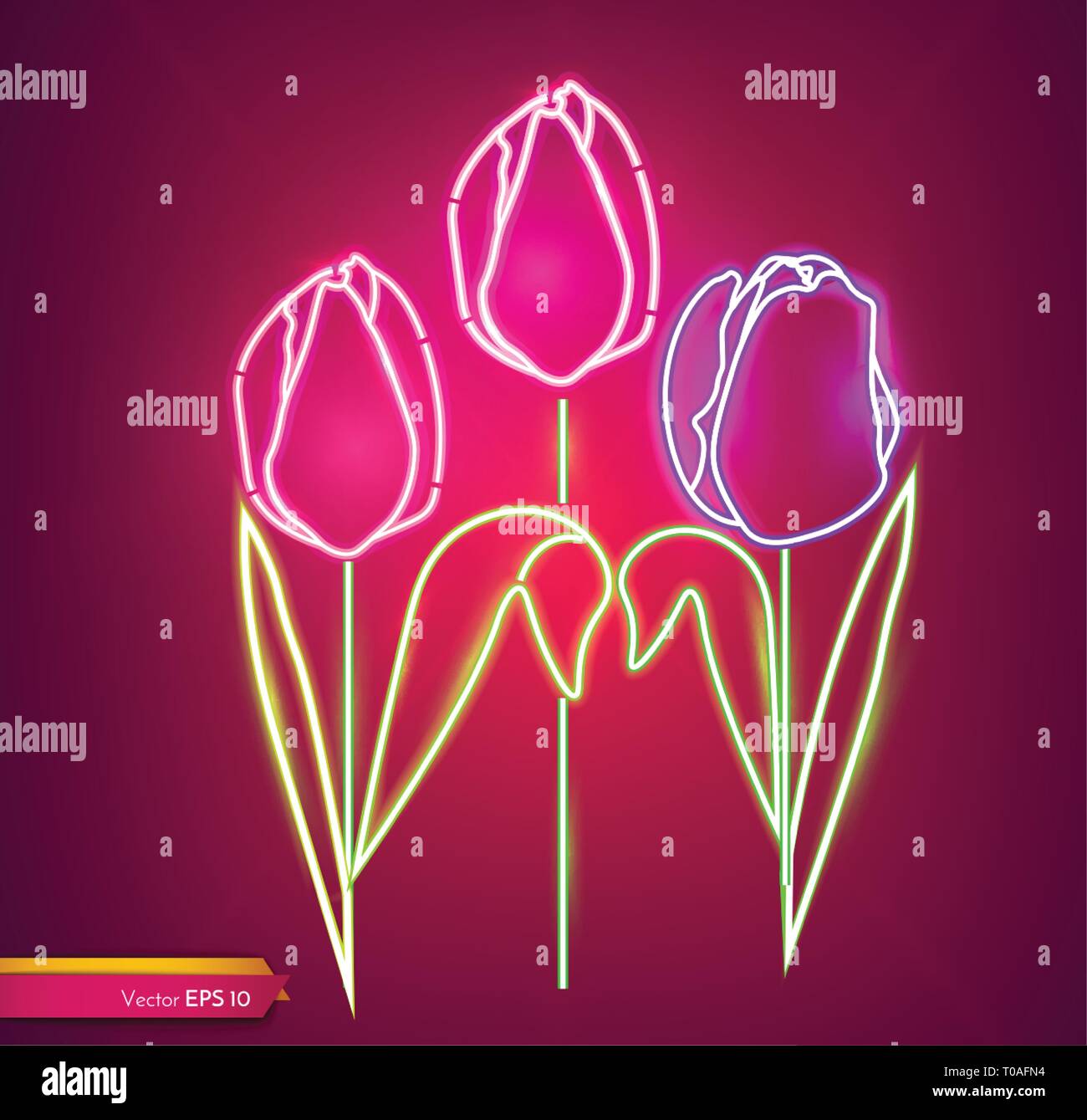 Tulip flowers neon light Vector. Vintage board. Glowing bouquet. Shiny ...