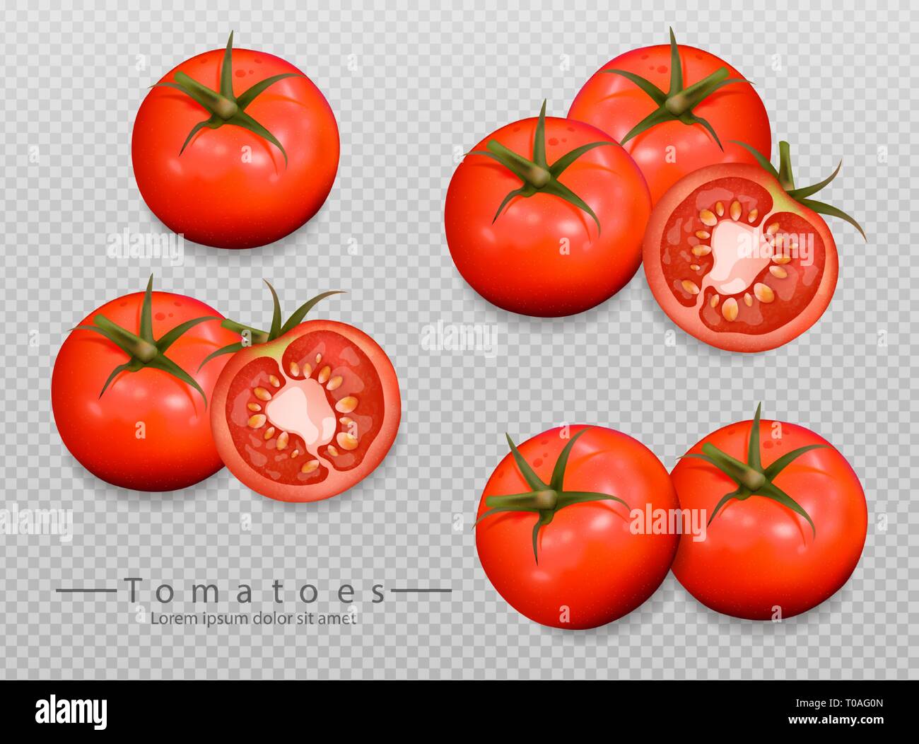 Tomatoes isolated Vector realistic. Detailed 3d illustration template ...