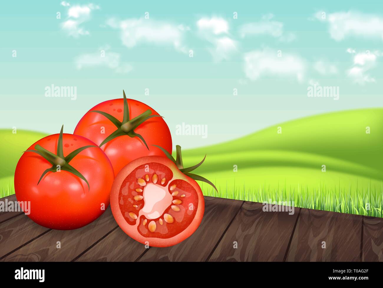 Tomatoes on wooden table Vector realistic. Green eco background ...