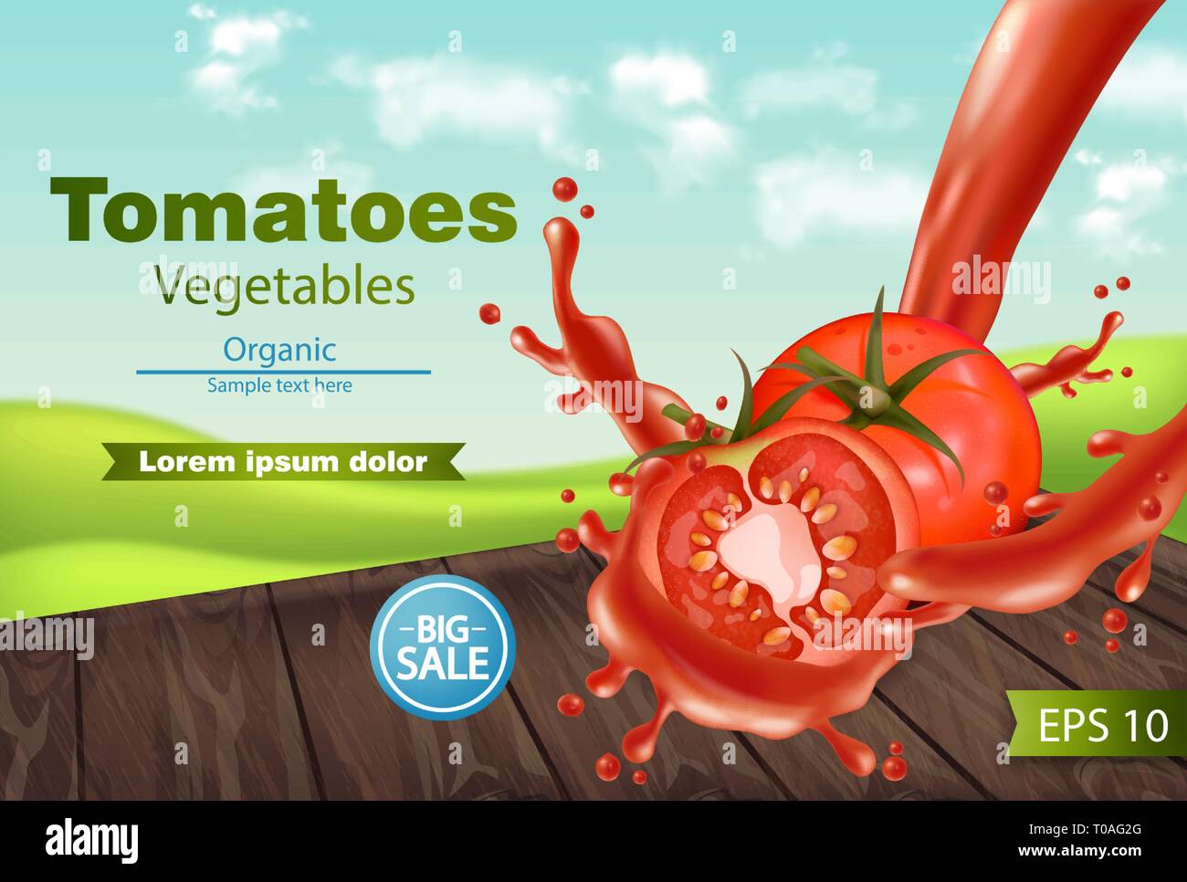 Tomatoes splash Vector realistic. Green eco background. Detailed 3d ...