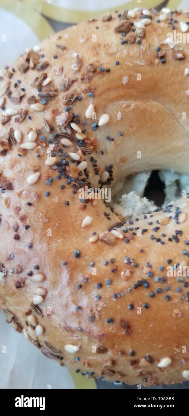 Bagelstore hi-res stock photography and images - Alamy