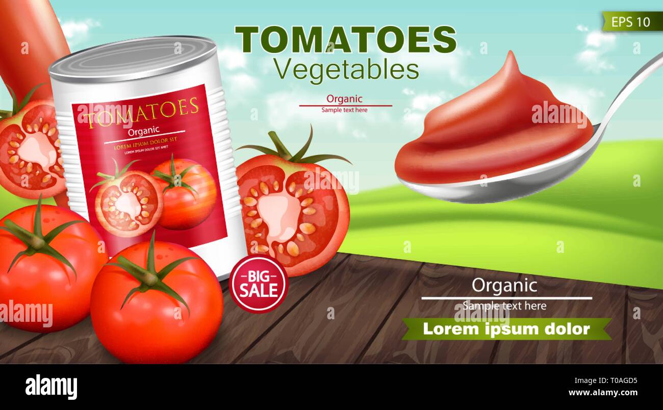 Canned tomatoes Vector realistic mock up. Product placement. 3d ...