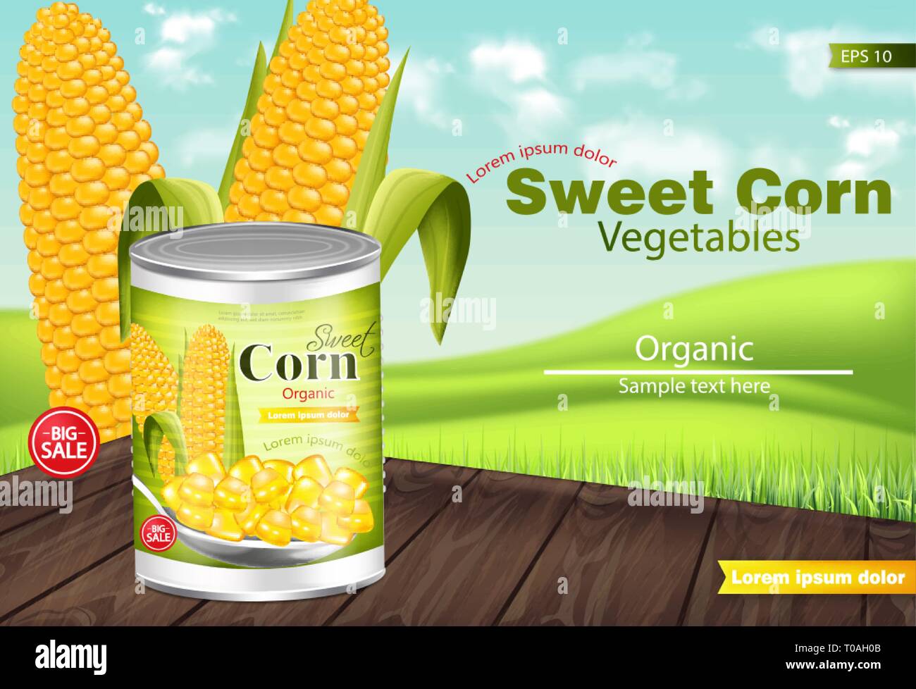 Sweet corn Vector realistic. Metal tin. Product package mock up. Label ...