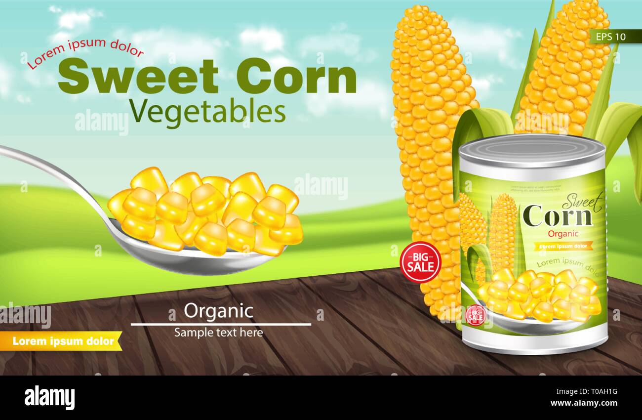 Sweet corn Vector realistic. Metal tin. Product package mock up. Label ...