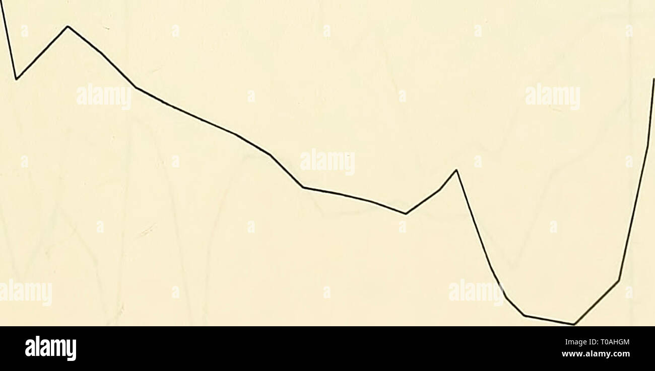 Implicit vintage hi-res stock photography and images - Alamy