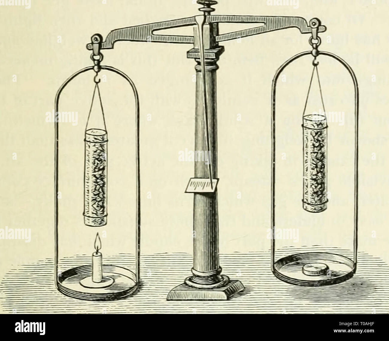 Elementary physics and chemistry second Stock Photo - Alamy
