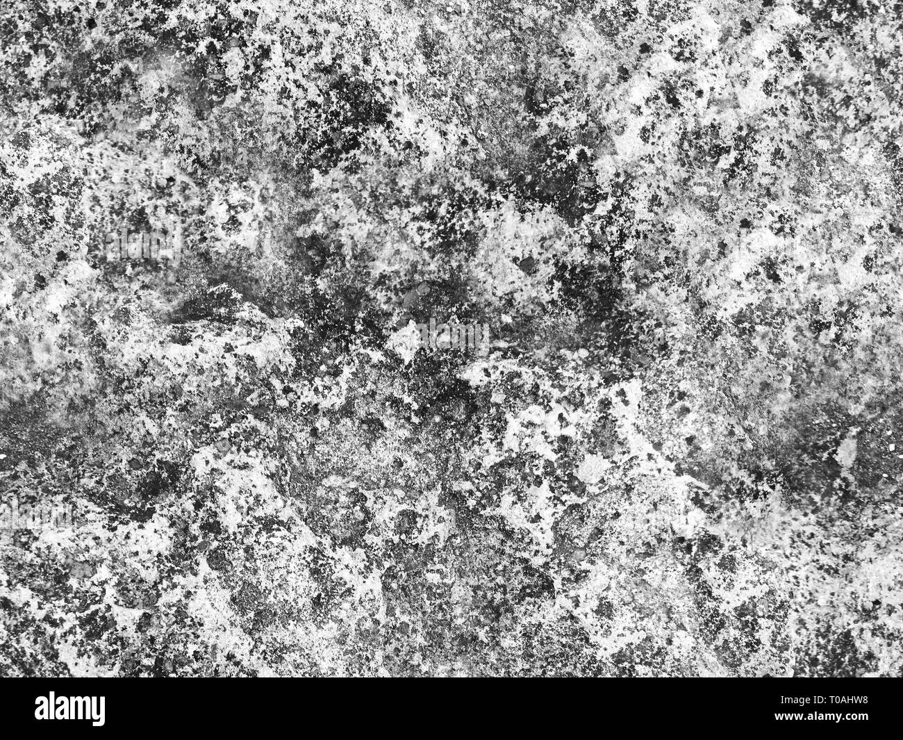 Texturise Free Seamless Textures With Maps Tileable White Stone Texture