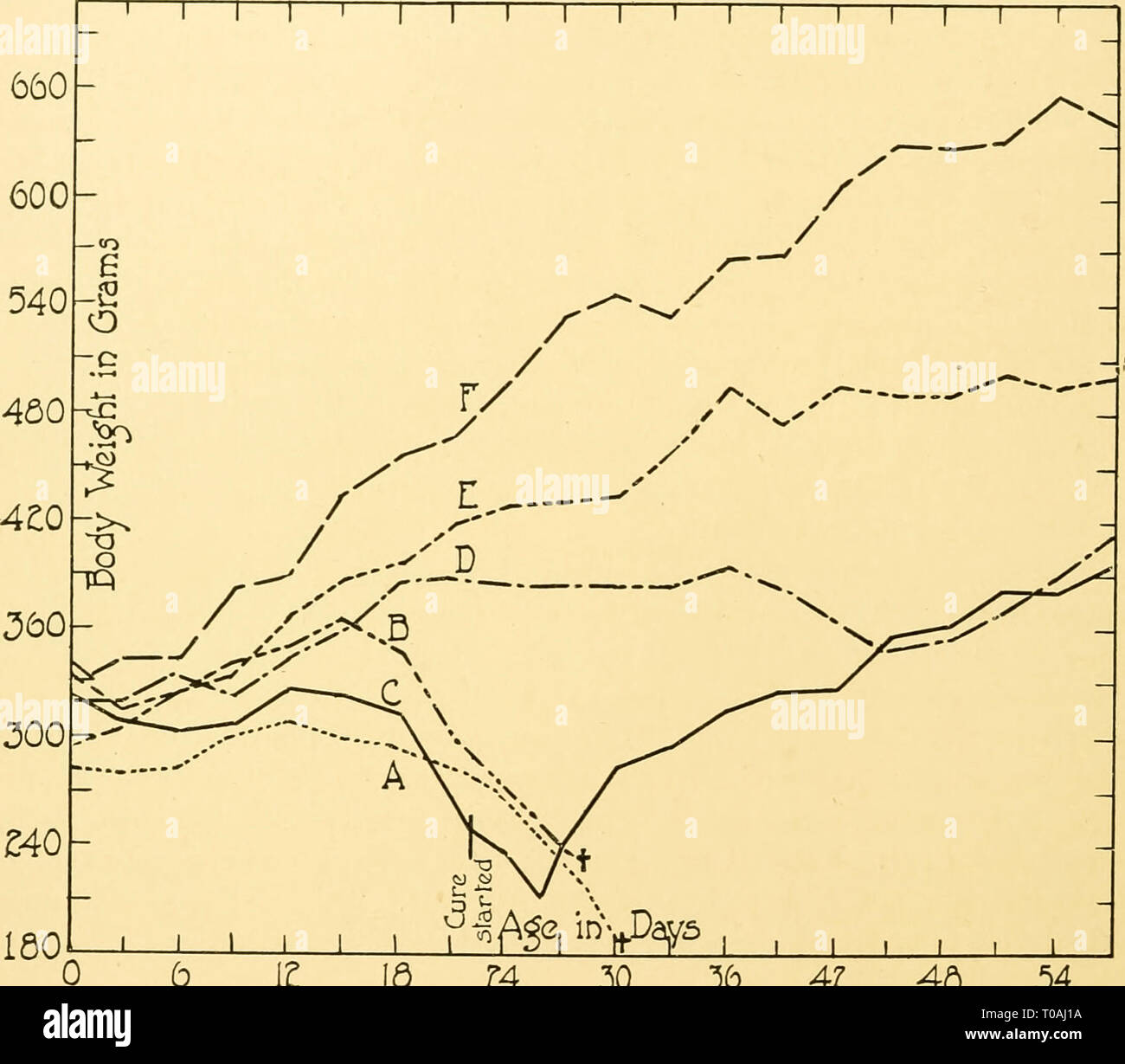The effects of inanition and Stock Photo - Alamy