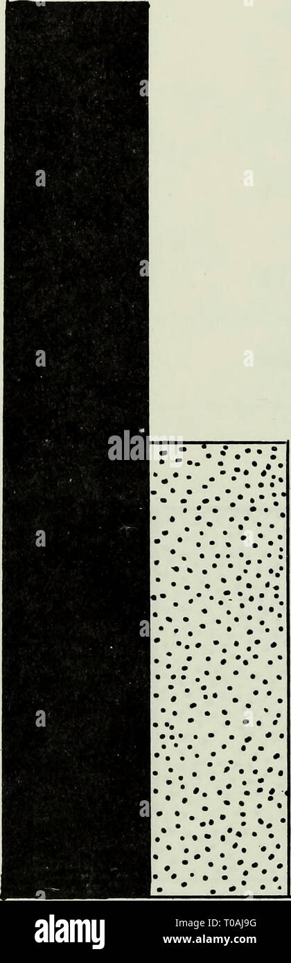 The effects of water development Stock Photo - Alamy