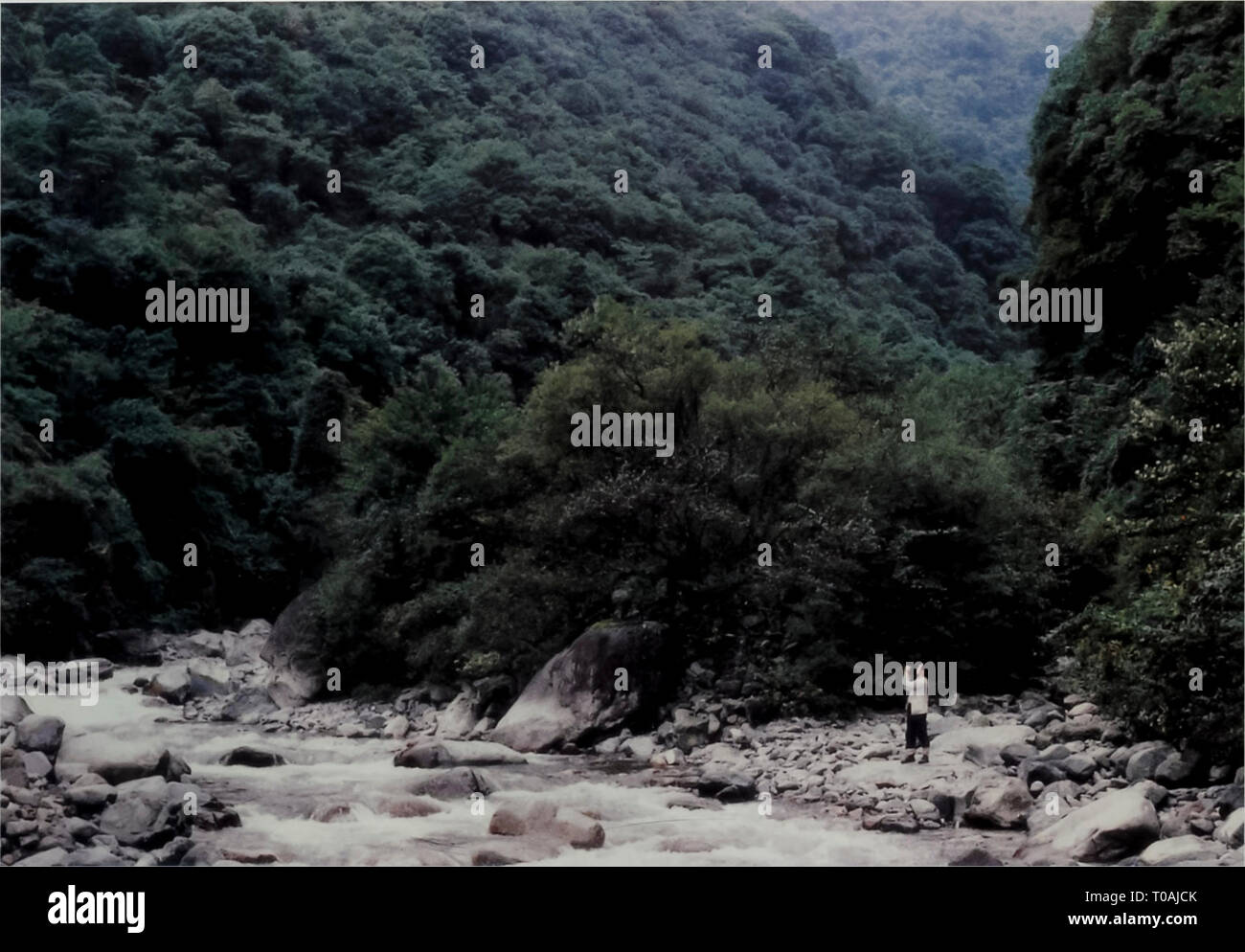 du jiang yan sheng wu Stock Photo - Alamy