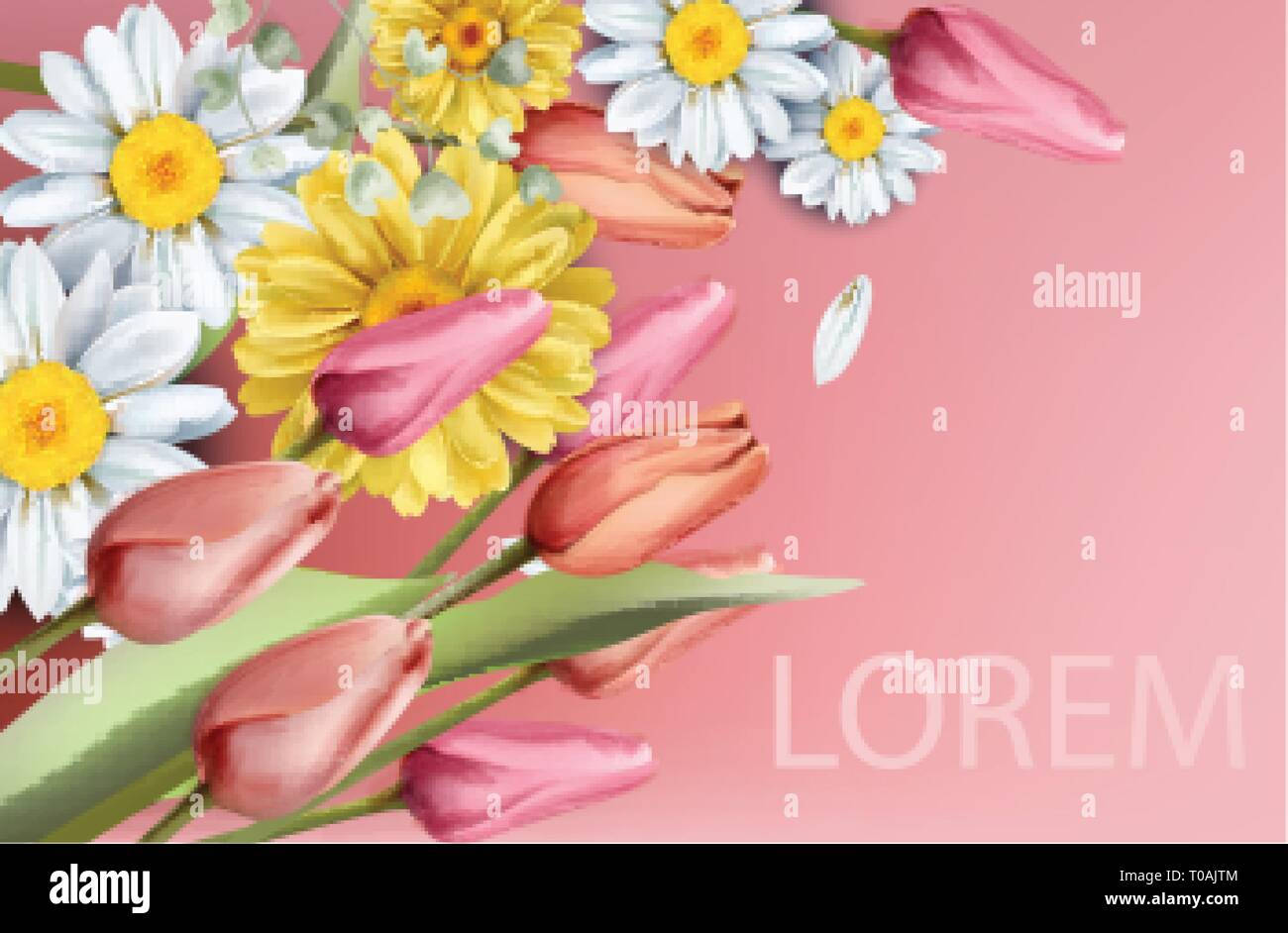 Daisy and tulips flowers bouquet Vector watercolor. Spring Summer ...