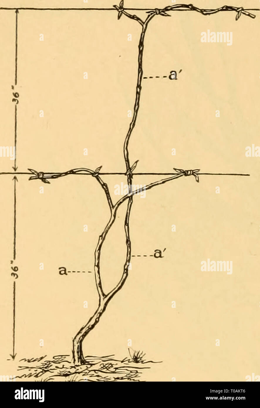 Elementary principles of agriculture; a Stock Photo - Alamy