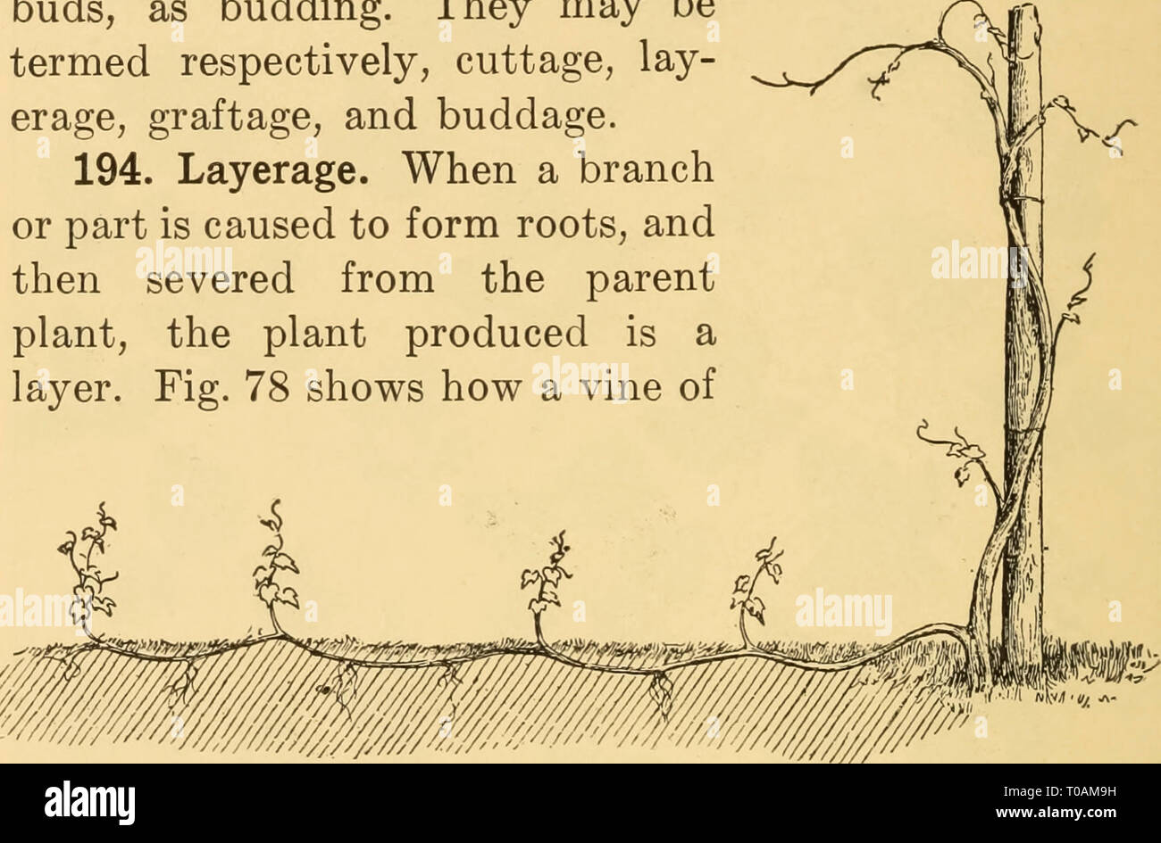 Elementary principles of agriculture; a Stock Photo - Alamy