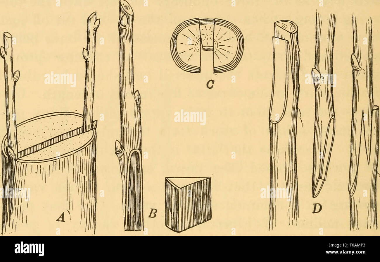 Elementary principles of agriculture; a Stock Photo - Alamy