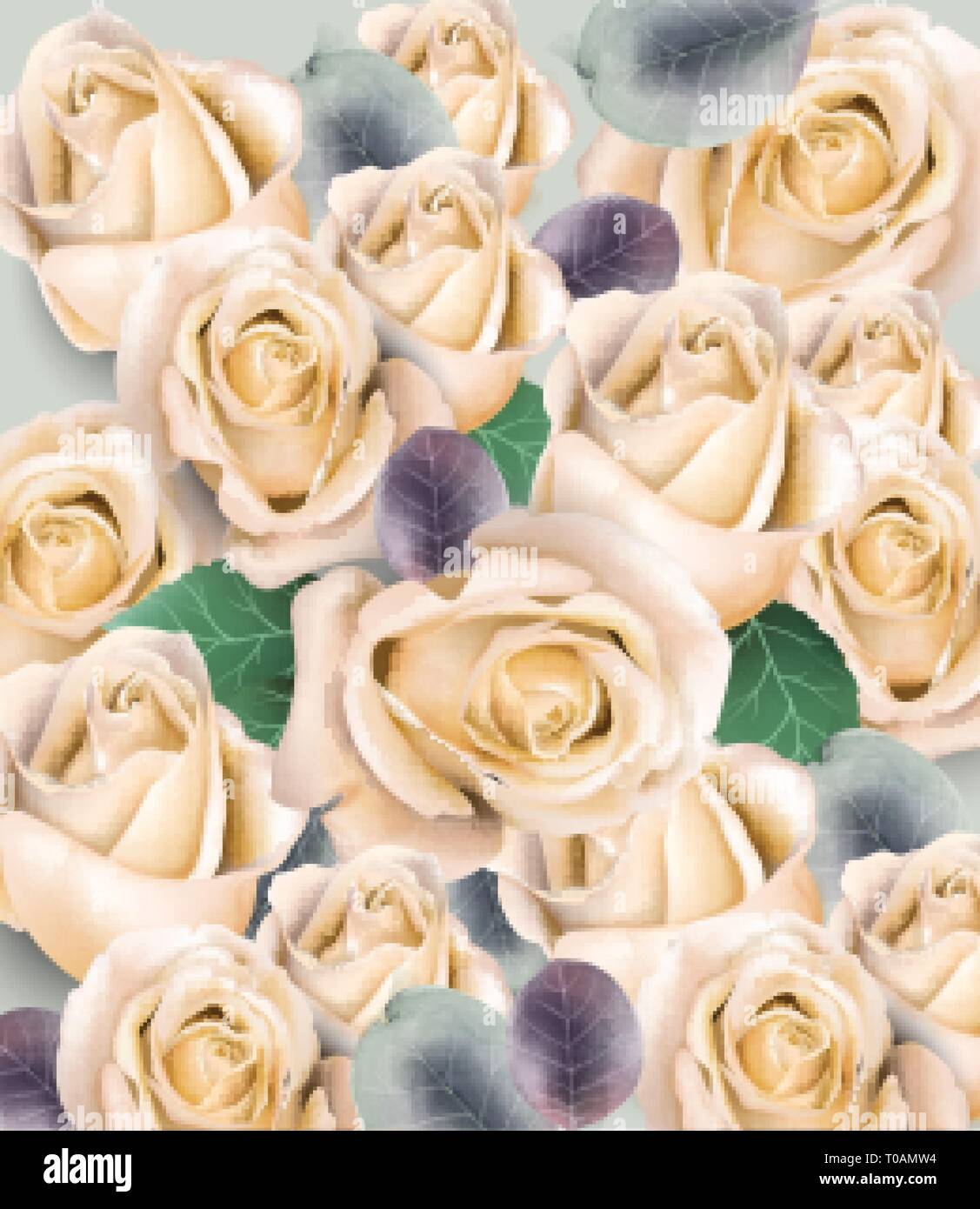 Cream roses bouquet Vector watercolor. Floral background. Beautiful ...